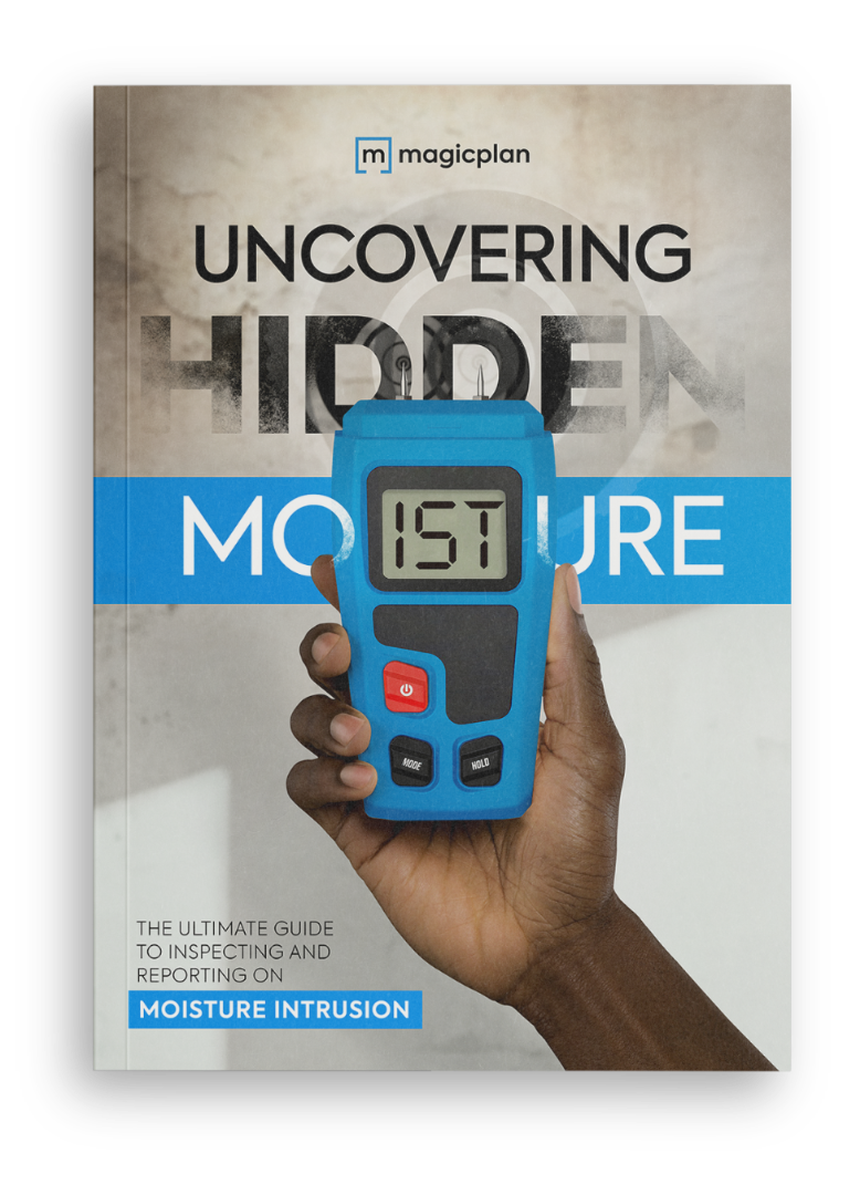 The Ultimate Guide to Inspecting and Reporting on Moisture Intrusion